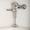 Delany Products – Flushometers and flush valves manufacturer.